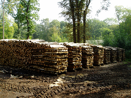 J.S.Forestry - Welcome to J.S.Forestry