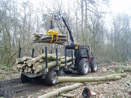 J.S.Forestry - Welcome to J.S.Forestry