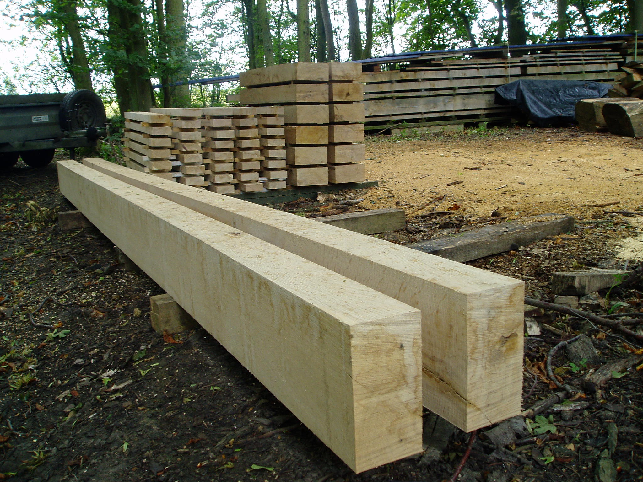 J.S.Forestry - Woodlife